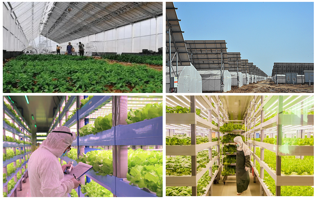 BJ ENERGY INTL Signed an Integrated Smart Energy Cooperation Agreement ...